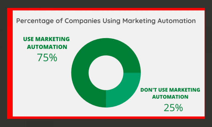 Marketing Automation Statistics for 2024 (Important Findings)